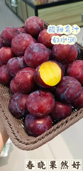 黑李子果的功效与作用_黑李子果怎么吃最好-第3张图片-山城妙识