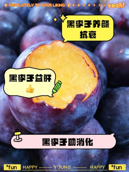 黑李子果的功效与作用_黑李子果怎么吃最好-第1张图片-山城妙识