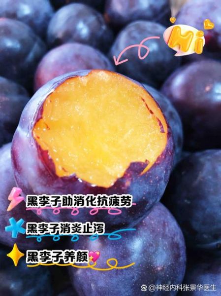 黑李子果的功效与作用_黑李子果怎么吃最好-第2张图片-山城妙识