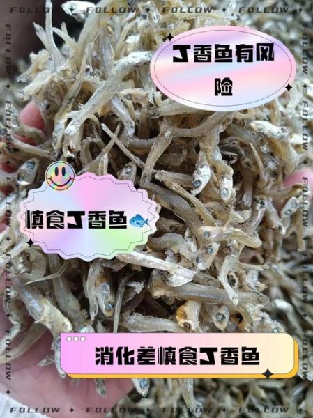 丁香鱼怎么做好吃_橄榄树适合种在哪里-第1张图片-山城妙识