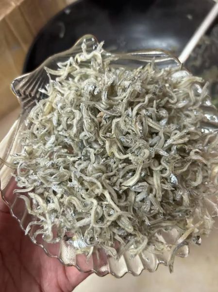 丁香鱼怎么做好吃_橄榄树适合种在哪里-第2张图片-山城妙识