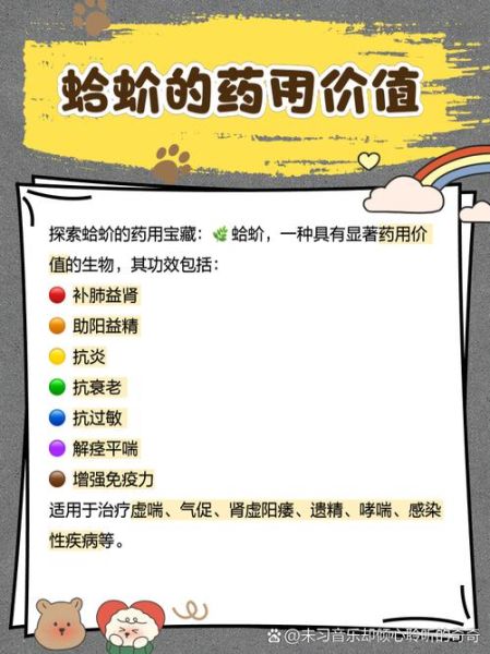 蛤蚧一对多少钱_蛤蚧价格影响因素-第1张图片-山城妙识 蛤蚧一对多少钱_蛤蚧价格影响因素-第1张图片-山城妙识