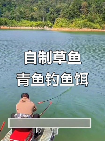 青鱼用什么钓最好_钓青鱼最佳饵料-第2张图片-山城妙识 青鱼用什么钓最好_钓青鱼最佳饵料-第2张图片-山城妙识