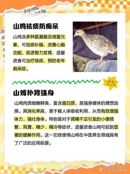 野山鸡能吃吗_野山鸡怎么吃才安全-第2张图片-山城妙识 野山鸡能吃吗_野山鸡怎么吃才安全-第2张图片-山城妙识