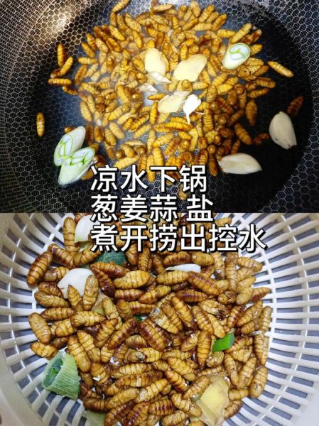 干煸蚕蛹怎么做酥脆_蚕蛹炸多久才够脆-第3张图片-山城妙识