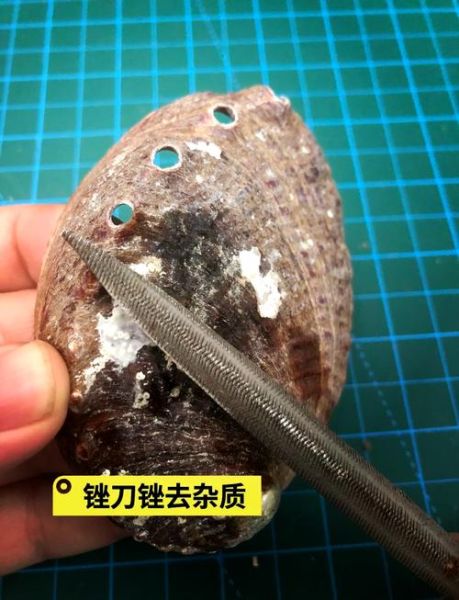 鲍鱼怎么清洗_鲍鱼清洗的正确方法-第2张图片-山城妙识