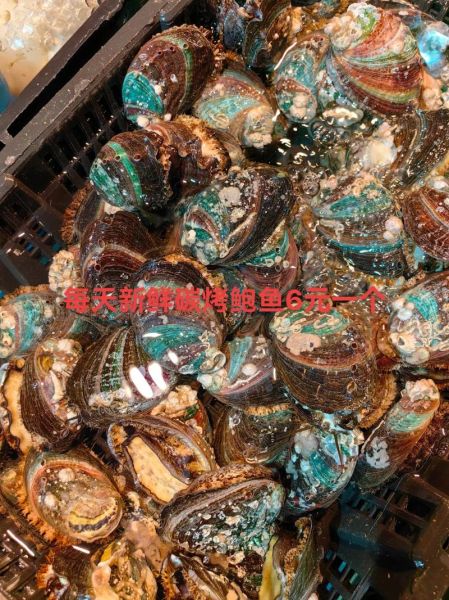 鲍鱼多少钱一斤_鲍鱼价格为什么差别这么大-第2张图片-山城妙识