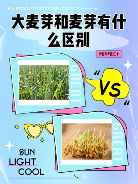 大麦和麦芽有什么区别_大麦麦芽哪个营养更高-第1张图片-山城妙识