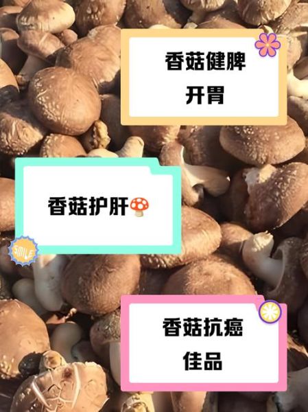 香茹的功效与作用_香茹怎么吃最营养-第1张图片-山城妙识