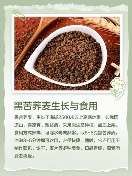 黑苦荞麦的功效与作用_黑苦荞麦怎么吃最好-第1张图片-山城妙识