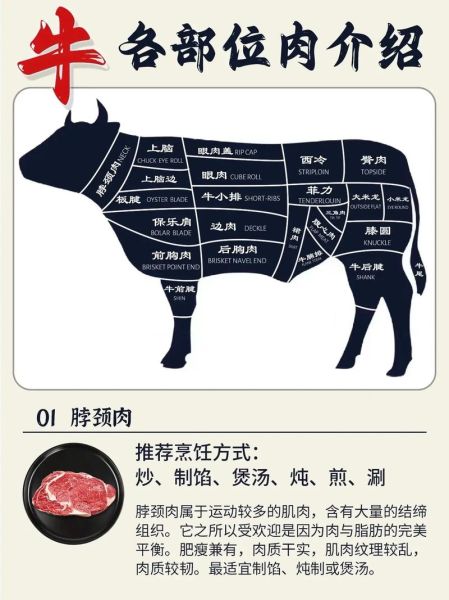 雪花牛肉是什么肉_雪花牛肉怎么挑选-第1张图片-山城妙识