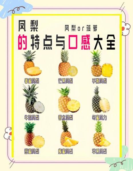 菠萝英语怎么读音播放_发音技巧详解-第2张图片-山城妙识