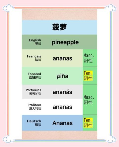 菠萝英语怎么读音播放_发音技巧详解-第1张图片-山城妙识