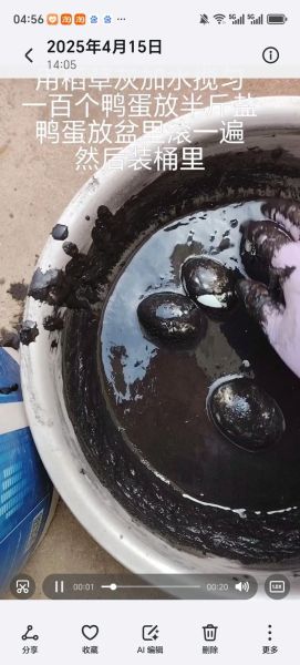 鸭蛋怎么腌制皮蛋_皮蛋的腌制方法-第1张图片-山城妙识