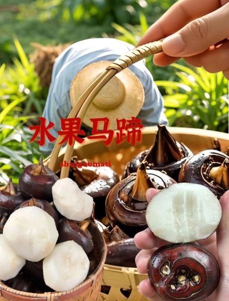 马蹄荸荠怎么吃最好_马蹄荸荠生吃还是熟吃好-第3张图片-山城妙识