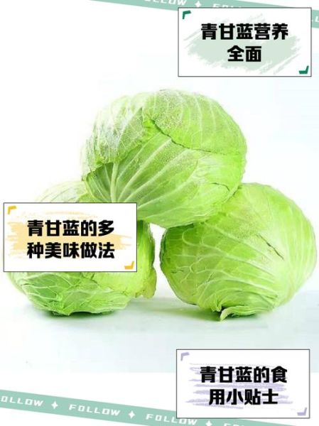 青甘蓝怎么做好吃_青甘蓝营养价值-第2张图片-山城妙识