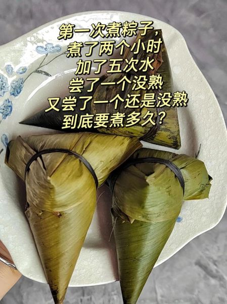 速冻粽子蒸多久能熟_冷冻粽子要蒸多长时间-第2张图片-山城妙识