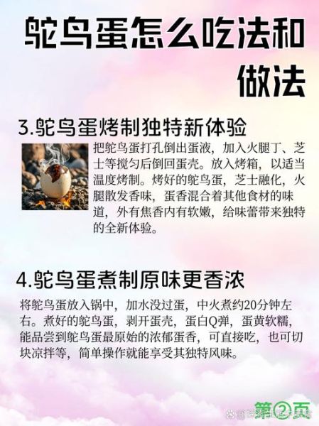 鸵鸟蛋能吃吗_鸵鸟蛋怎么吃-第1张图片-山城妙识 鸵鸟蛋能吃吗_鸵鸟蛋怎么吃-第1张图片-山城妙识