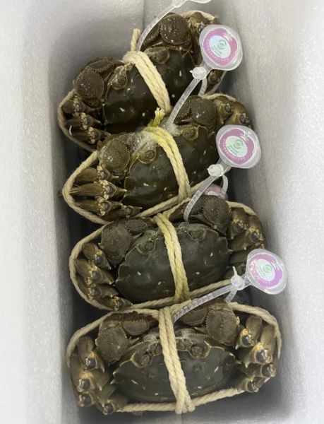 阳澄湖大闸蟹10只多少钱_正宗价格区间-第1张图片-山城妙识