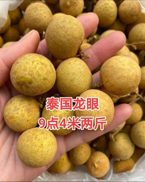 鲜龙眼上火吗_鲜龙眼一天吃多少合适-第2张图片-山城妙识