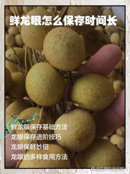 鲜龙眼上火吗_鲜龙眼一天吃多少合适-第3张图片-山城妙识