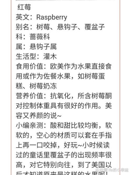 黑莓和桑葚的区别_哪个营养价值更高-第2张图片-山城妙识 黑莓和桑葚的区别_哪个营养价值更高-第2张图片-山城妙识