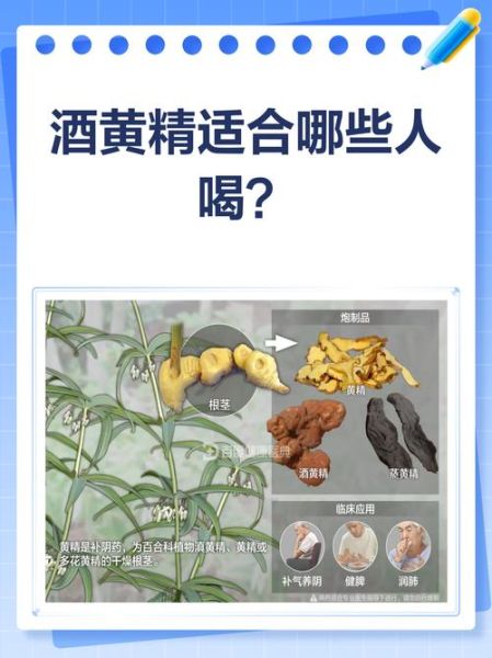 酒黄精的功效与作用_酒黄精怎么吃效果最好-第1张图片-山城妙识
