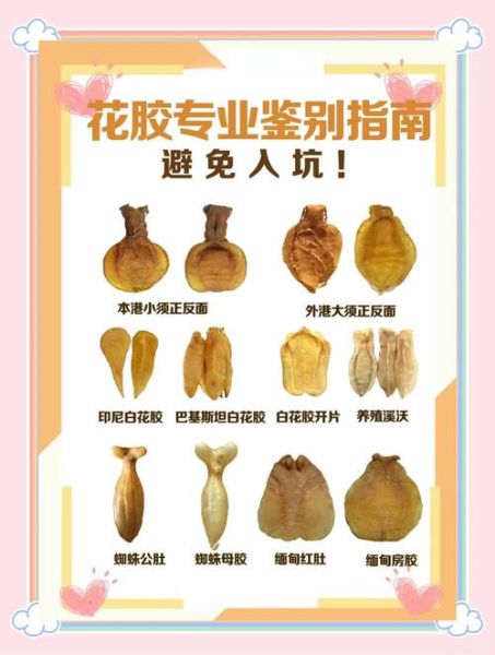 鱼鳔和花胶的区别_花胶是不是鱼鳔-第2张图片-山城妙识 鱼鳔和花胶的区别_花胶是不是鱼鳔-第2张图片-山城妙识