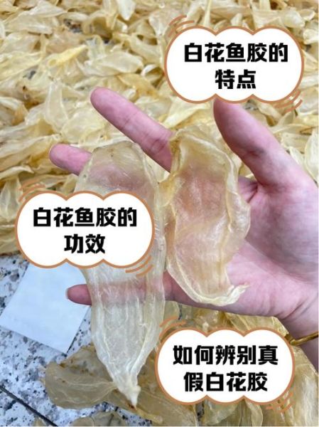 鱼鳔怎么做好吃_鱼鳔的功效与作用-第1张图片-山城妙识