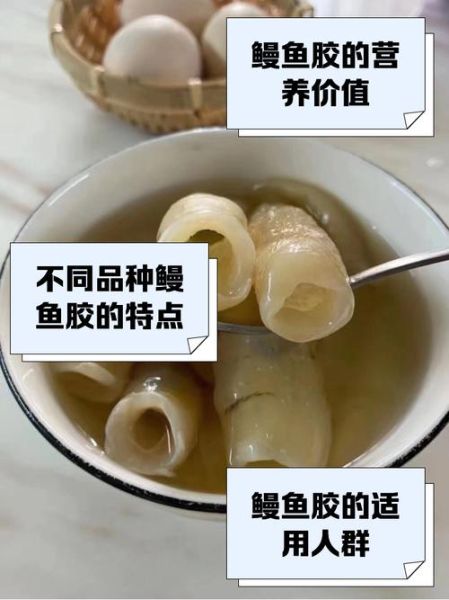 鱼鳔怎么做好吃_鱼鳔的功效与作用-第2张图片-山城妙识