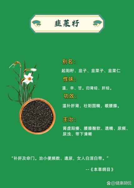 韭菜籽壮阳效果怎么样_韭菜籽怎么吃最补肾-第2张图片-山城妙识 韭菜籽壮阳效果怎么样_韭菜籽怎么吃最补肾-第2张图片-山城妙识