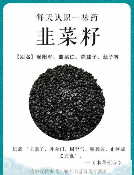 韭菜籽壮阳效果怎么样_韭菜籽怎么吃最补肾-第1张图片-山城妙识 韭菜籽壮阳效果怎么样_韭菜籽怎么吃最补肾-第1张图片-山城妙识