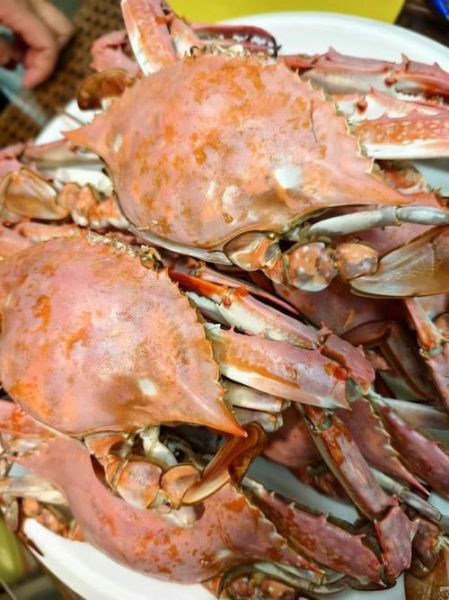 迷你八爪鱼怎么做好吃_迷你八爪鱼家常做法-第1张图片-山城妙识 迷你八爪鱼怎么做好吃_迷你八爪鱼家常做法-第1张图片-山城妙识