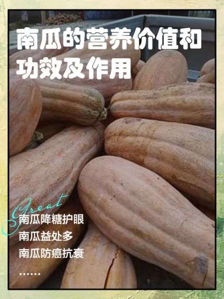 老南瓜的功效与作用_老南瓜怎么吃最营养-第3张图片-山城妙识 老南瓜的功效与作用_老南瓜怎么吃最营养-第3张图片-山城妙识