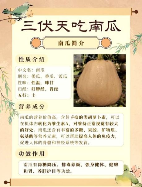 老南瓜的功效与作用_老南瓜怎么吃最营养-第1张图片-山城妙识 老南瓜的功效与作用_老南瓜怎么吃最营养-第1张图片-山城妙识