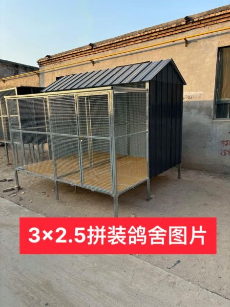 肉鸽养殖大棚怎么建_肉鸽大棚设计图要点-第1张图片-山城妙识 肉鸽养殖大棚怎么建_肉鸽大棚设计图要点-第1张图片-山城妙识
