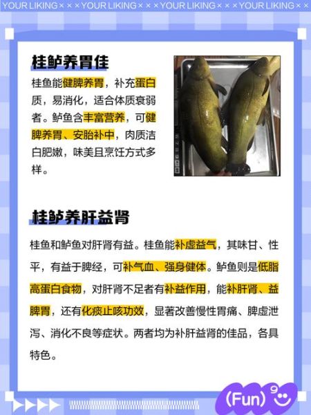 鲈鱼和桂鱼的区别_哪个更好吃-第1张图片-山城妙识