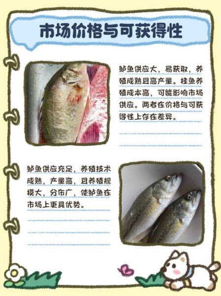 鲈鱼和桂鱼的区别_哪个更好吃-第3张图片-山城妙识