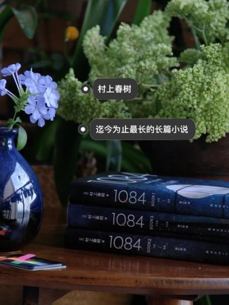 青豆小说网站怎么样_青豆小说网站安全吗-第2张图片-山城妙识