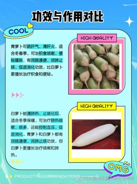 青萝卜和白萝卜的区别_哪个更适合炖汤-第1张图片-山城妙识