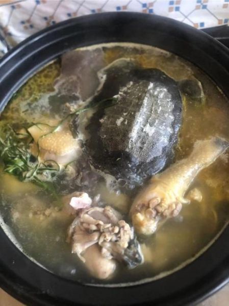 霸王别姬是哪里的菜_霸王别姬的做法和寓意-第1张图片-山城妙识