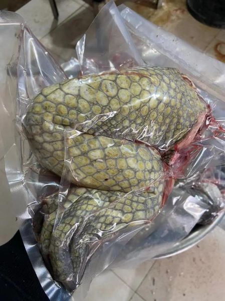 鳄鱼肉哪些人不宜吃_孕妇能吃鳄鱼肉吗-第1张图片-山城妙识