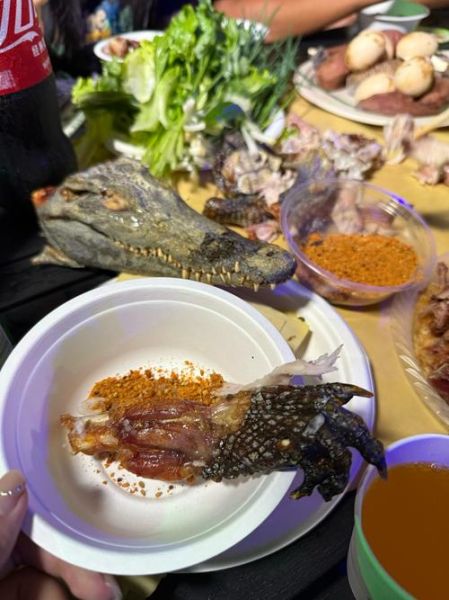 鳄鱼肉哪些人不宜吃_孕妇能吃鳄鱼肉吗-第2张图片-山城妙识