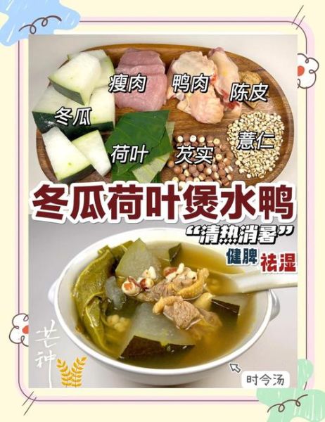 鸭肉煲什么健脾祛湿_湿气重吃鸭肉煲什么好-第1张图片-山城妙识