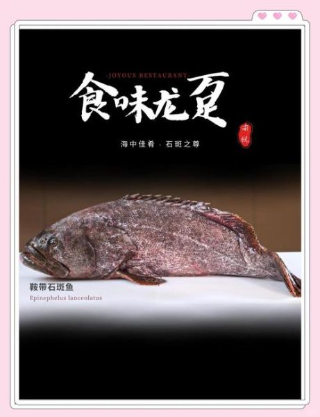 龙趸鱼多少钱一斤_龙趸鱼怎么做好吃-第3张图片-山城妙识