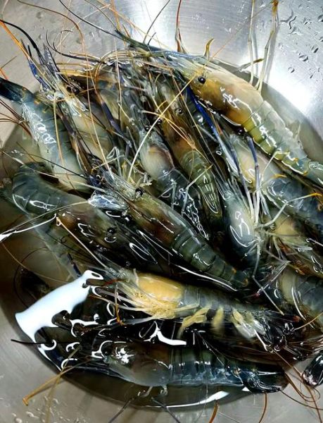 大头虾怎么做好吃_家常大头虾的做法大全-第1张图片-山城妙识 大头虾怎么做好吃_家常大头虾的做法大全-第1张图片-山城妙识