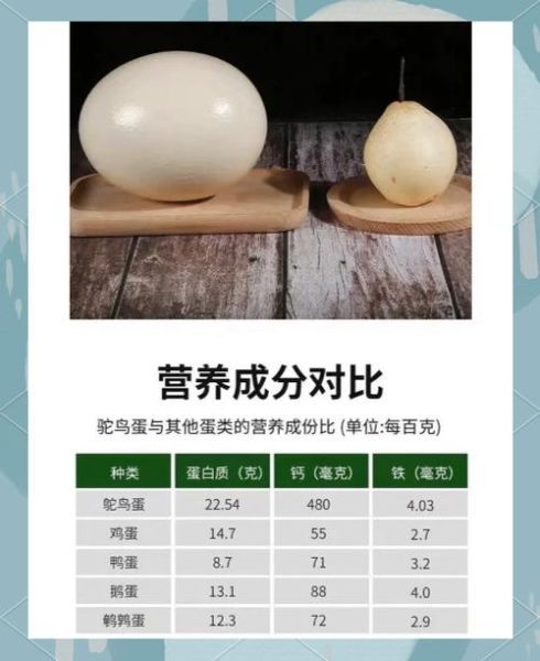 鸵鸟蛋的营养价值_鸵鸟蛋怎么吃最营养-第1张图片-山城妙识 鸵鸟蛋的营养价值_鸵鸟蛋怎么吃最营养-第1张图片-山城妙识