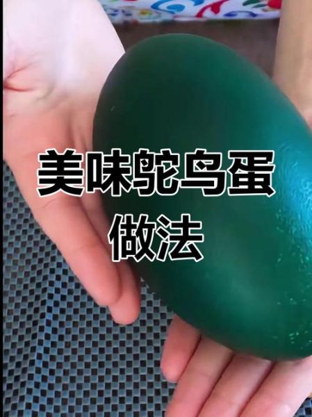 鸵鸟蛋的营养价值_鸵鸟蛋怎么吃最营养-第3张图片-山城妙识 鸵鸟蛋的营养价值_鸵鸟蛋怎么吃最营养-第3张图片-山城妙识