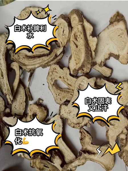 白术的功效与作用_茯苓主治什么病-第2张图片-山城妙识 白术的功效与作用_茯苓主治什么病-第2张图片-山城妙识