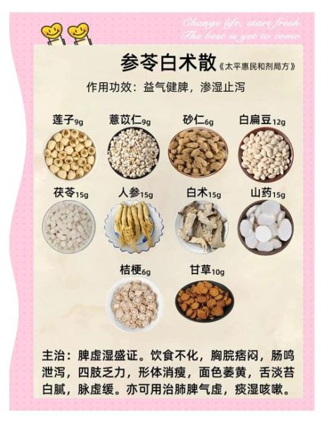 白术的功效与作用_茯苓主治什么病-第3张图片-山城妙识 白术的功效与作用_茯苓主治什么病-第3张图片-山城妙识